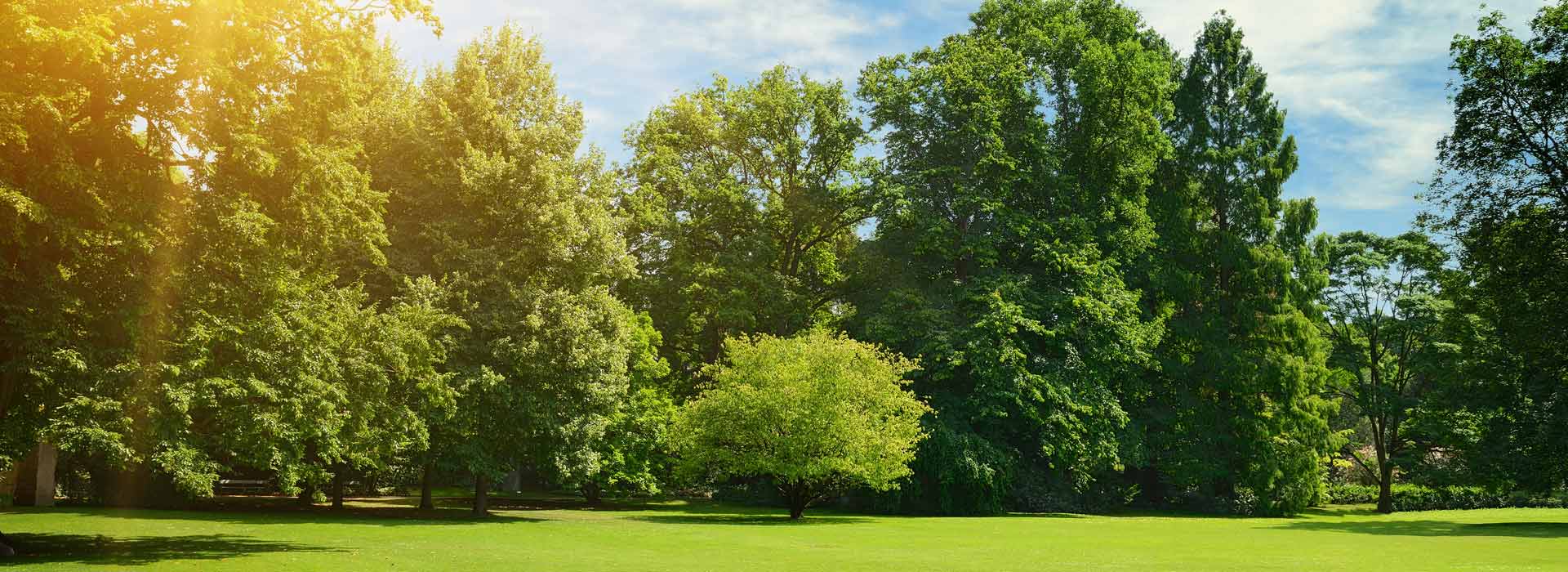 Benefits of QTRA – QTRA