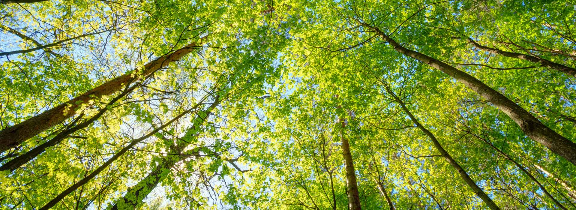 Research and development – QTRA