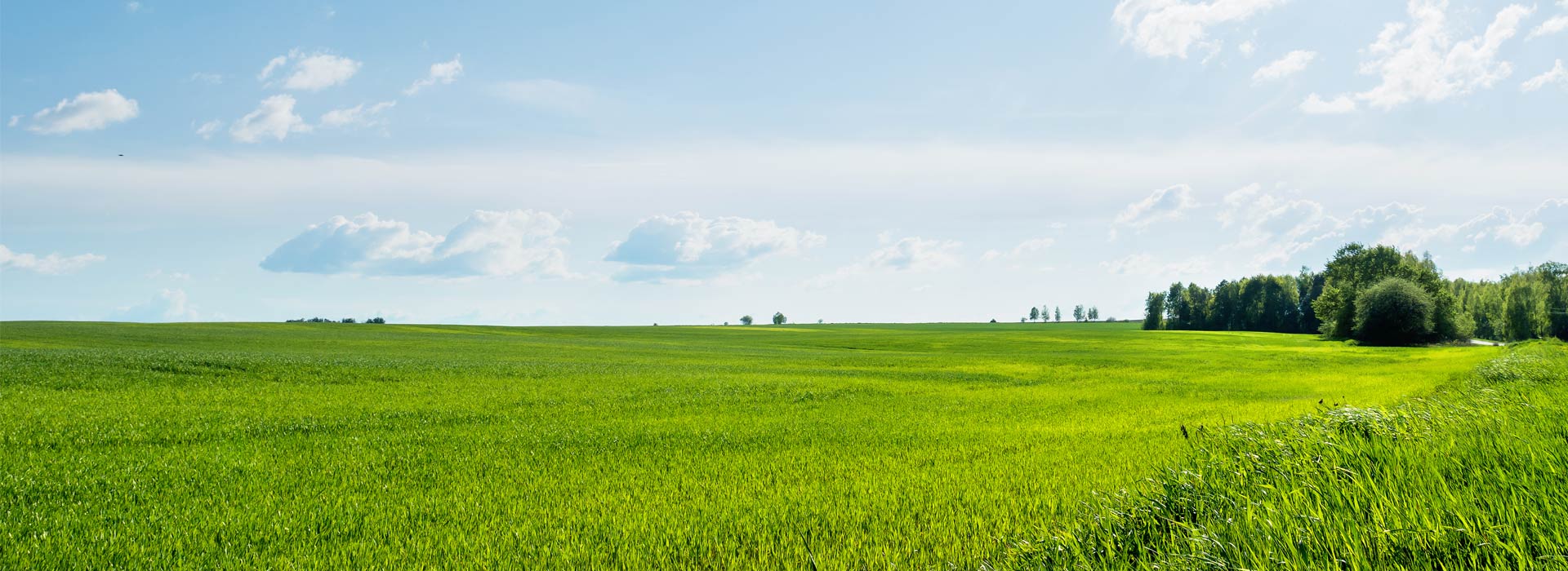 Workshop Outlines – QTRA