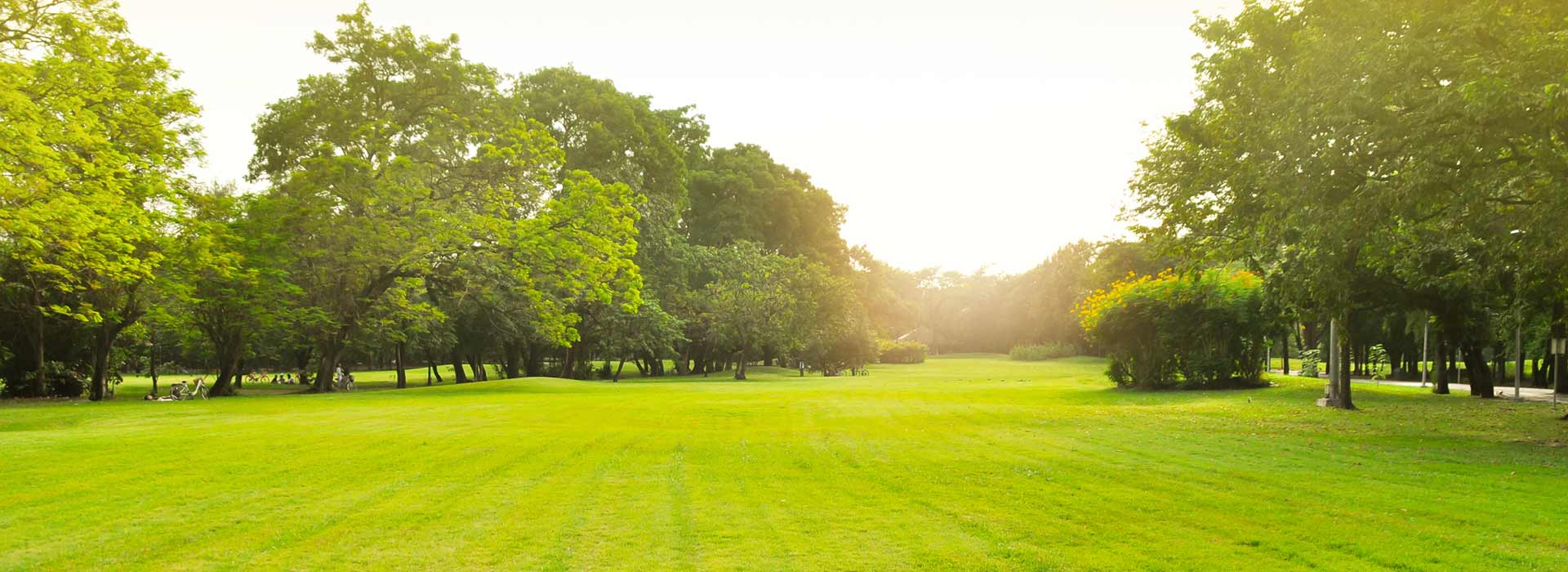 Data collection - QTRA