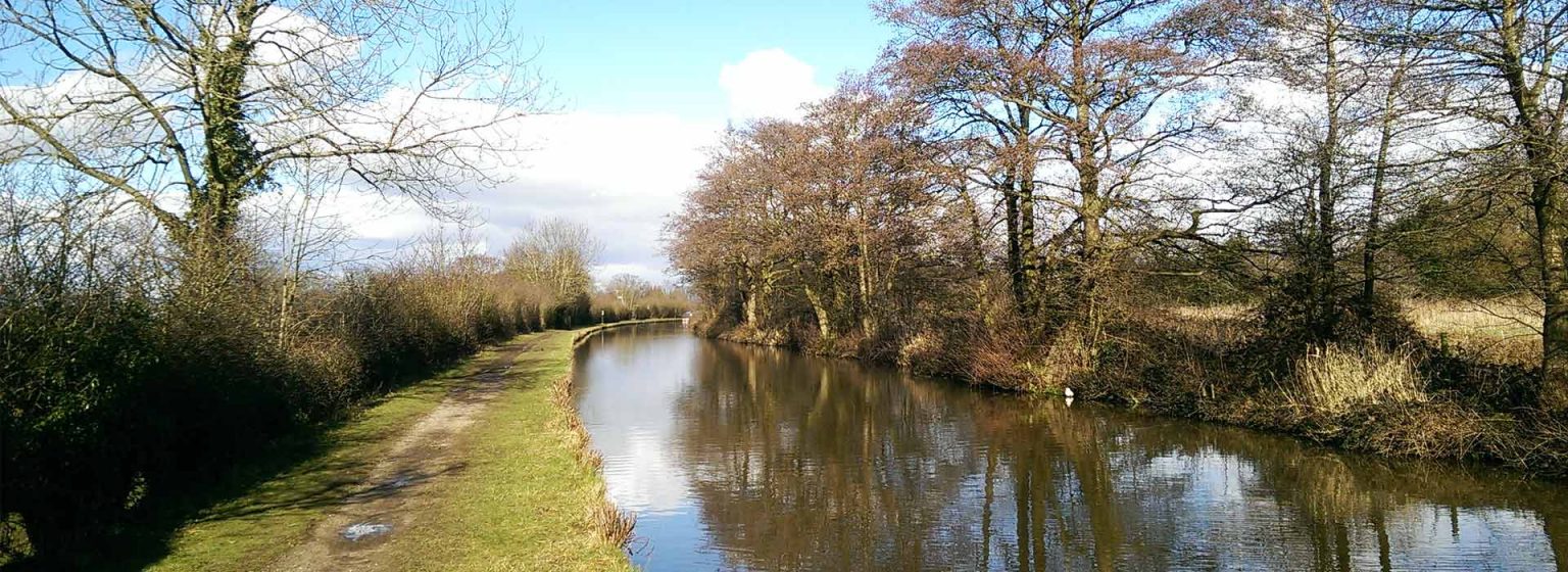 QTRA update training – QTRA