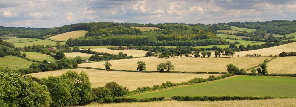 Regional Data – QTRA