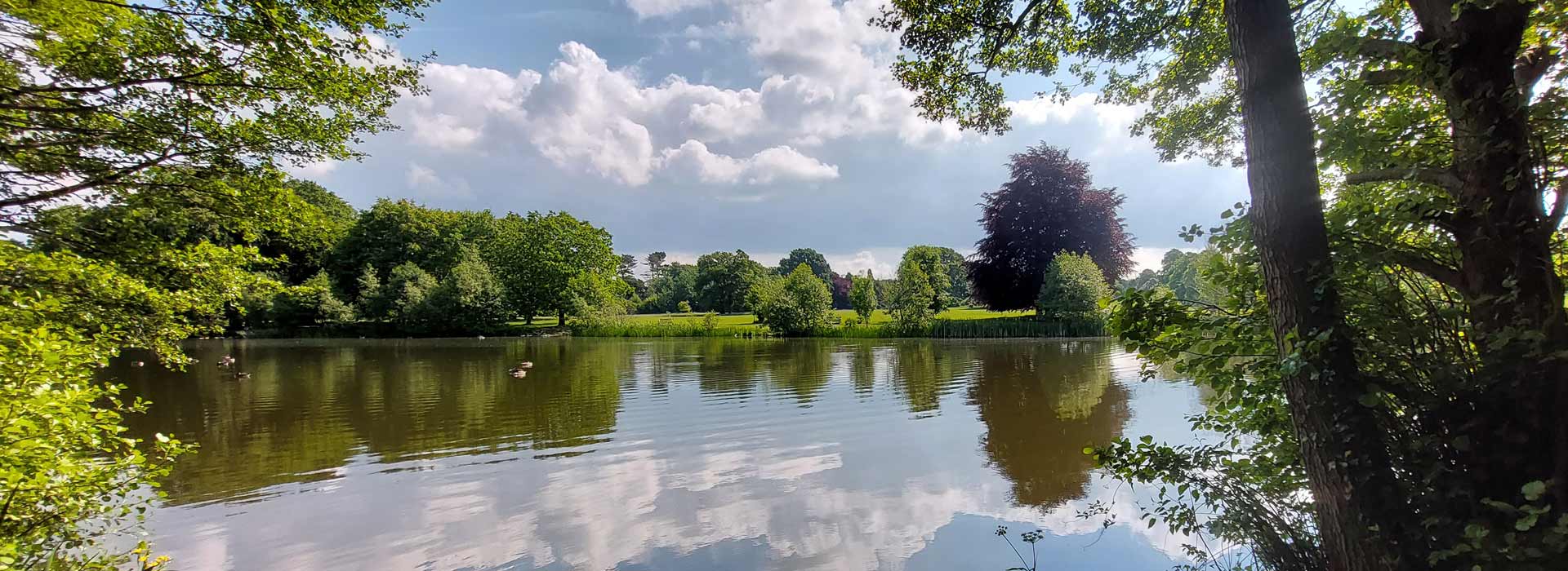 What is a registered user? - QTRA